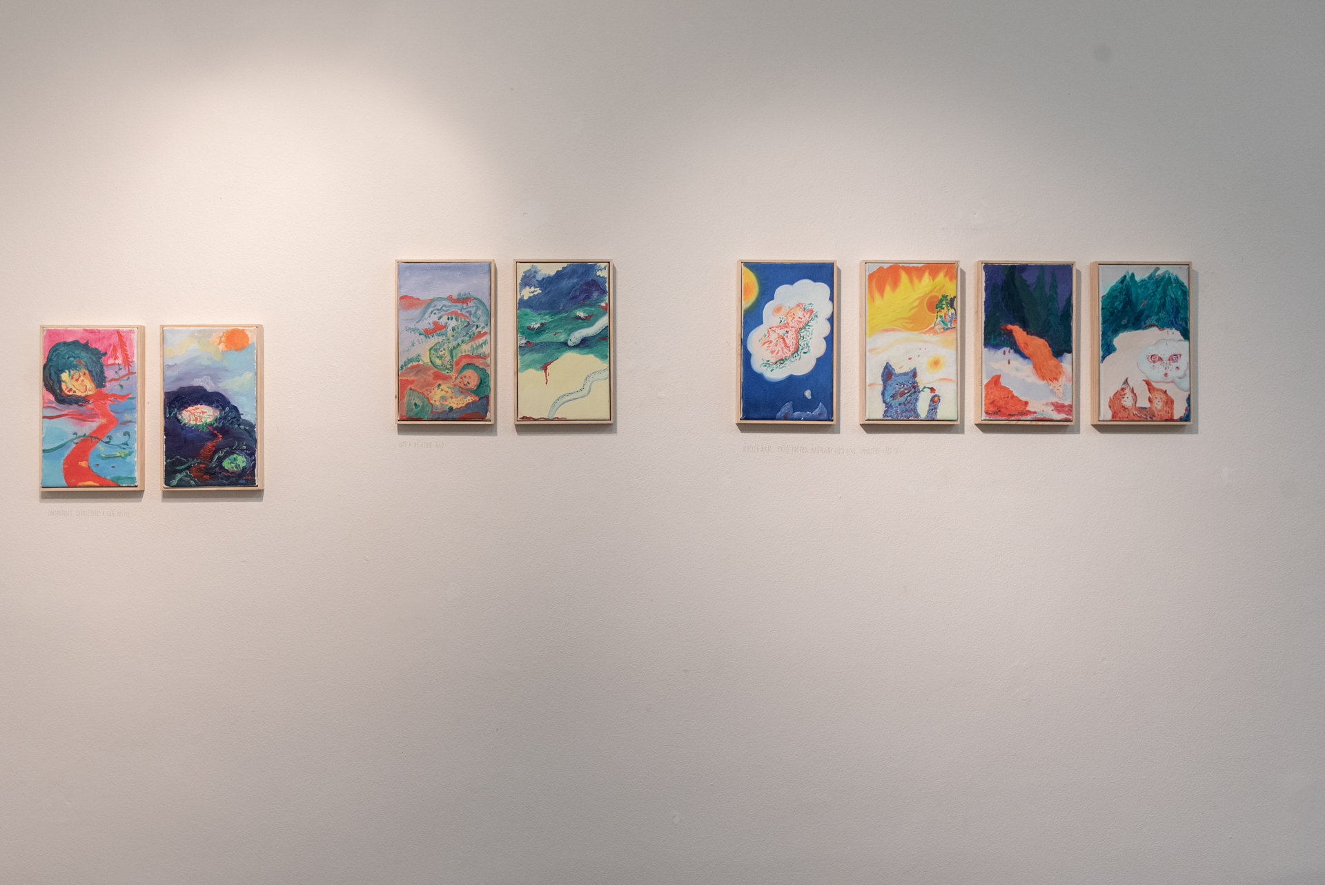 Barbora Šaroun Šemberová — Exhibitions - Barbora Šaroun Šemberová